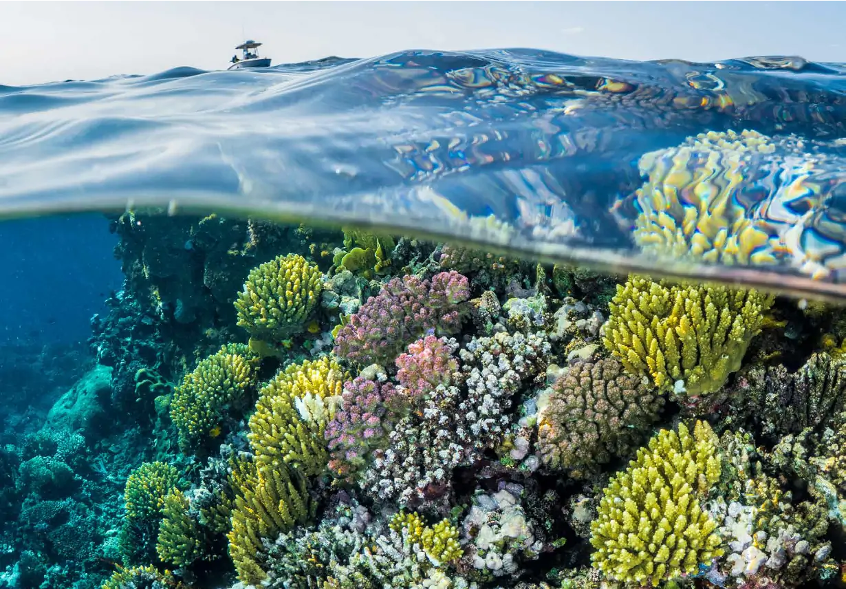 Red Sea International Airport Flights | Visit Red Sea